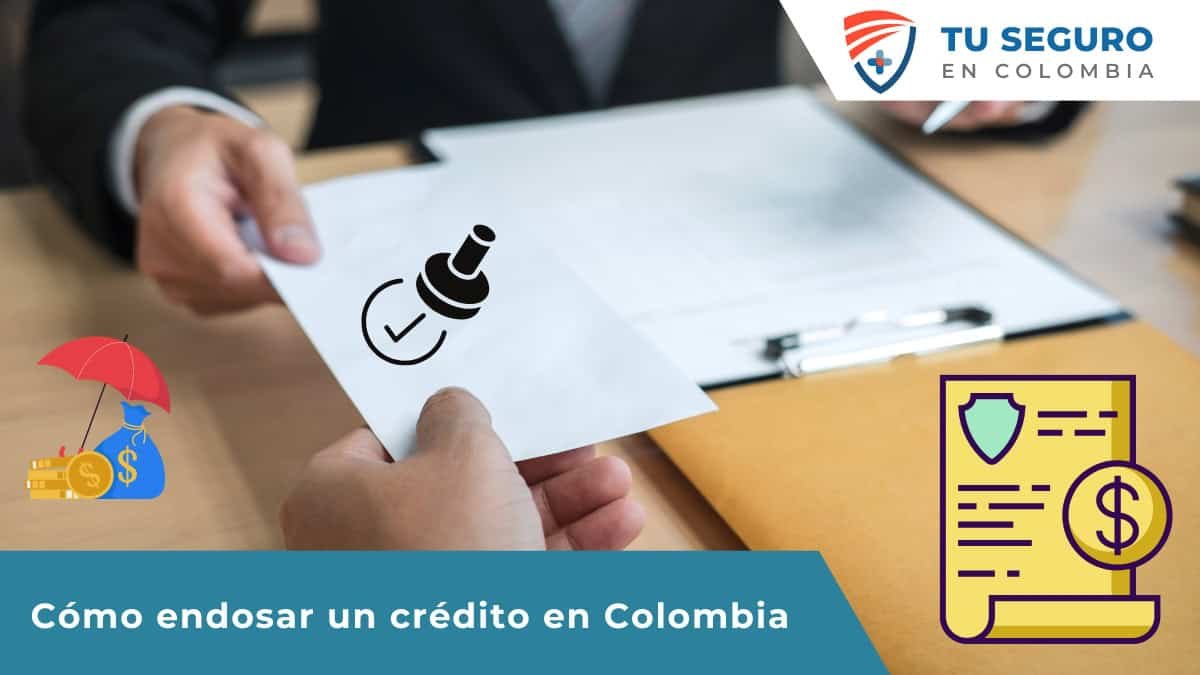 Guía PARA ENDOSAR un seguro en Colombia
